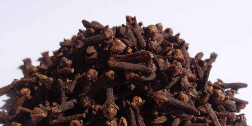 Klinčić biljka kao jedan od najljekovitijih začina svijeta - Jabuka.tv