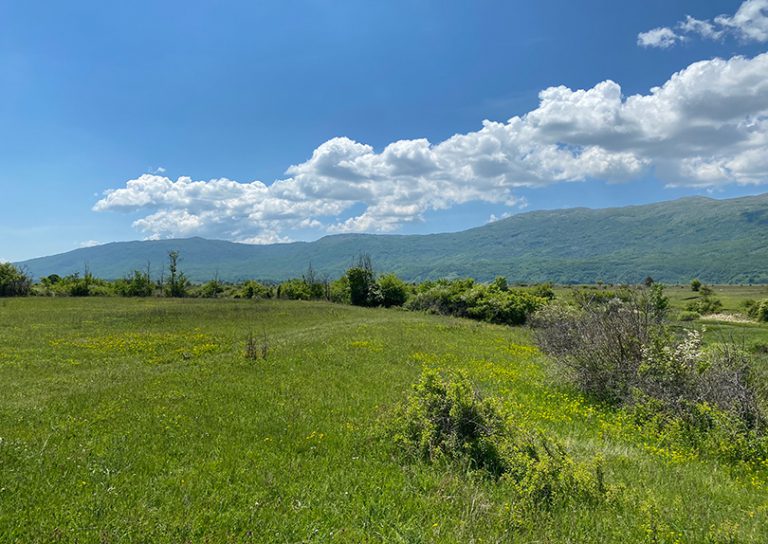 Što je potrebno za povećanje brojnosti i očuvanje endemskih vrsta riba ...