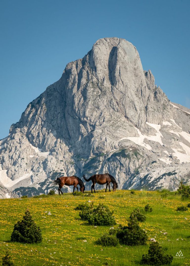 Sva veličanstvena lica i zapanjujuća ljepota planine Prenj - Jabuka.tv