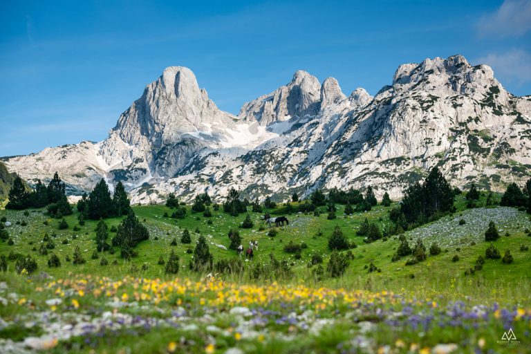 Sva veličanstvena lica i zapanjujuća ljepota planine Prenj - Jabuka.tv