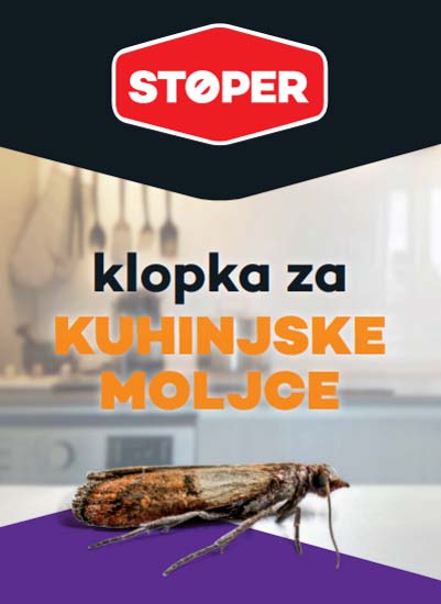 Kako se učinkovito riješiti kuhinjskih moljaca u domu? - Jabuka.tv