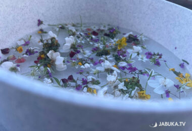 Najbolje čestitke za Uskrs - Jabuka.tv