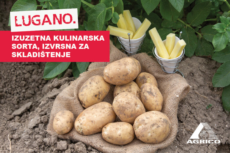 Pravilna gnojidba krumpira - Jabuka.tv