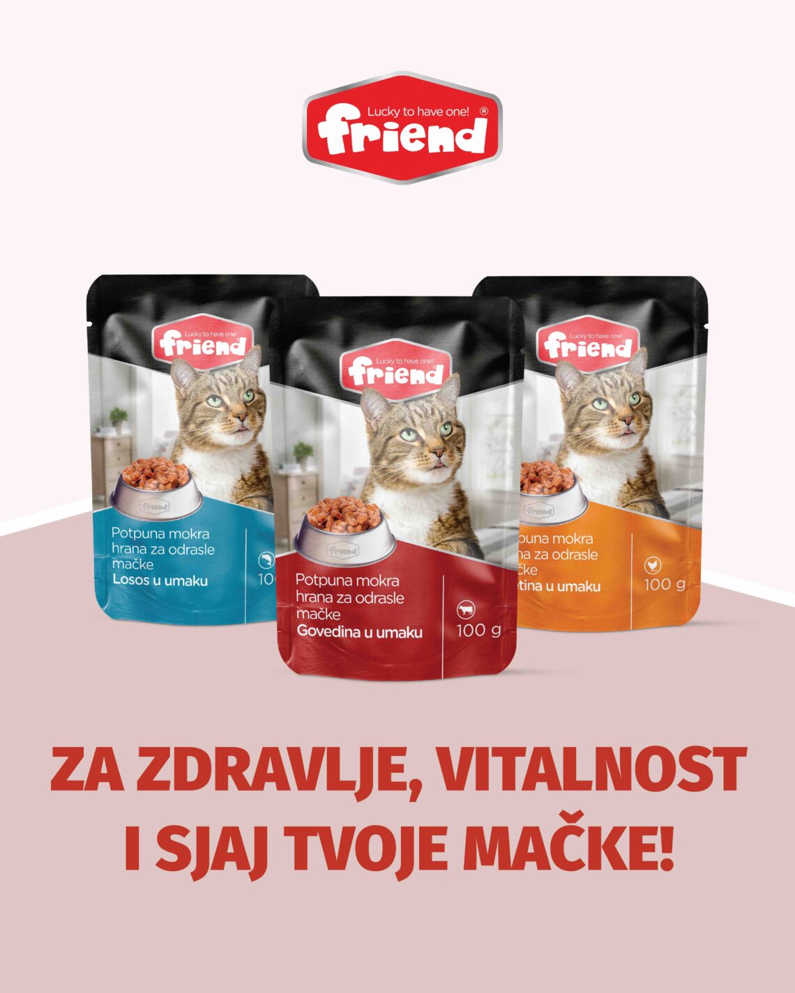 Neka od osnovnih pravila za održavanje orhideja - Ljubuški na dlanu